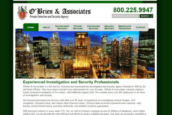 Security Company Websites - Web Design Agency | The BLU Group